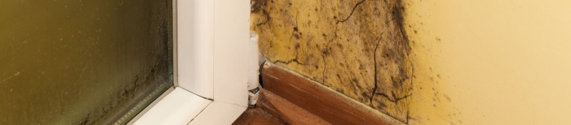 forensic engineering services-construction defect investigation ...